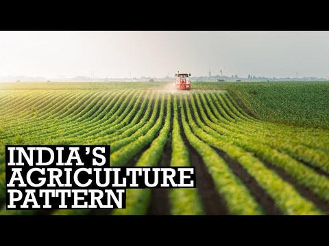 Top Agricultural states in India! - Agriculture in India | The General Channel