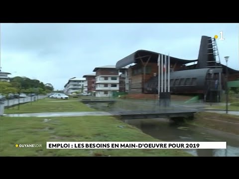 Emploi : les besoins en main - d'oeuvre pour 2019