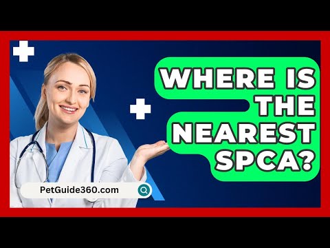 Where Is The Nearest SPCA? - PetGuide360.com