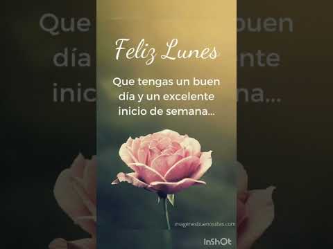 Feliz lunes y feliz inicio de semana