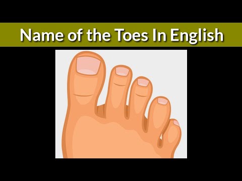 Name of the toes in english | toe names | toe