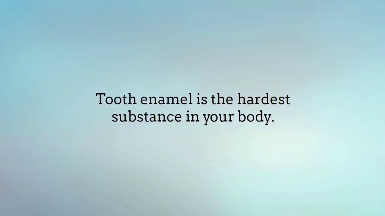 Tyler Pediatric Dentist | 5 Fun Teeth Facts