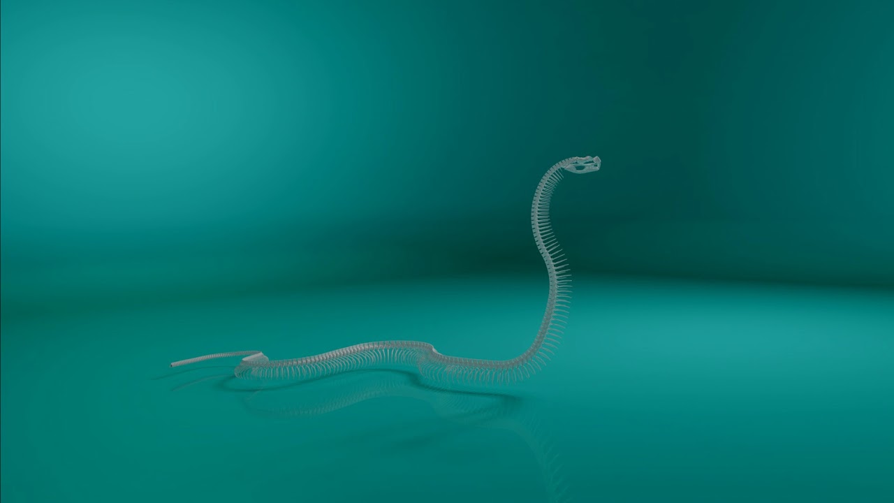 3d model snake skeleton animation