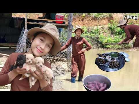 The simple daily life of a young girl living with her two children in the mountains | y lưng