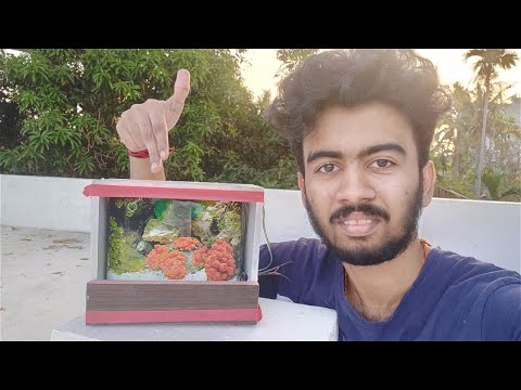 Lets make DIY Aquarium For ShowCase.... അക്വേറിയം ഉണ്ടാക്കാം ഷോക്കേസ്...