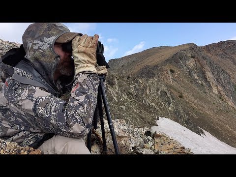 Locating Bighorn Sheep in Wilderness