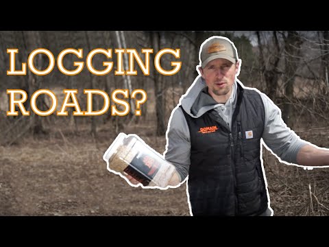 Planting Logging Road Food Plots with Minimal Equipment