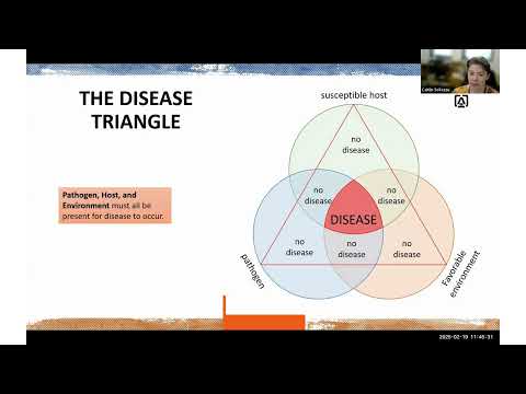 Language of Disease - Part 1