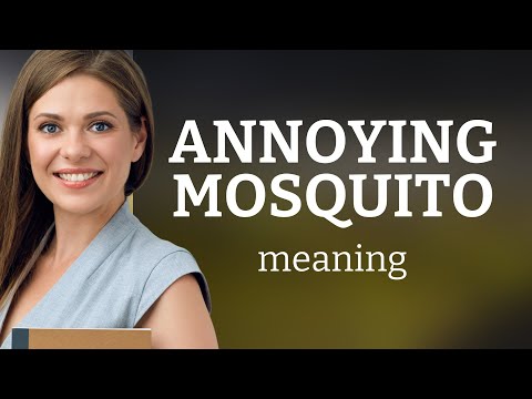 Understanding Idioms: The Case of "Annoying Mosquito"