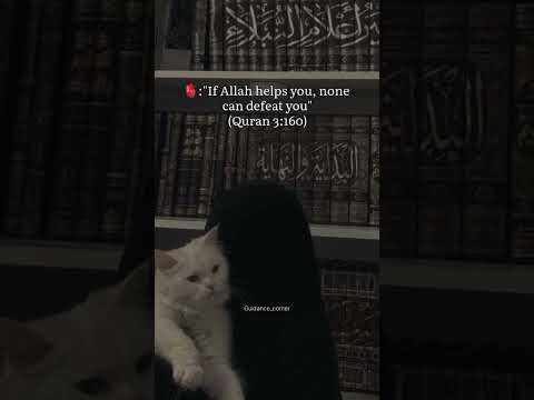 Most comfortable words in Quran ✨🤍...#viral #trending #shorts #short #islam #islamic #arabic #quotes