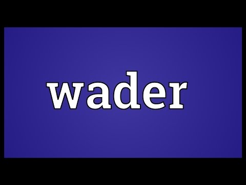 Wader Meaning