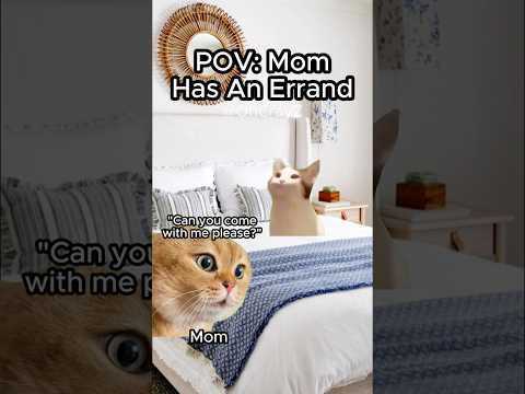CAT MEMES 🐱 MOM HAS AN ERRAND #relatable #cat #funny #family #shorts