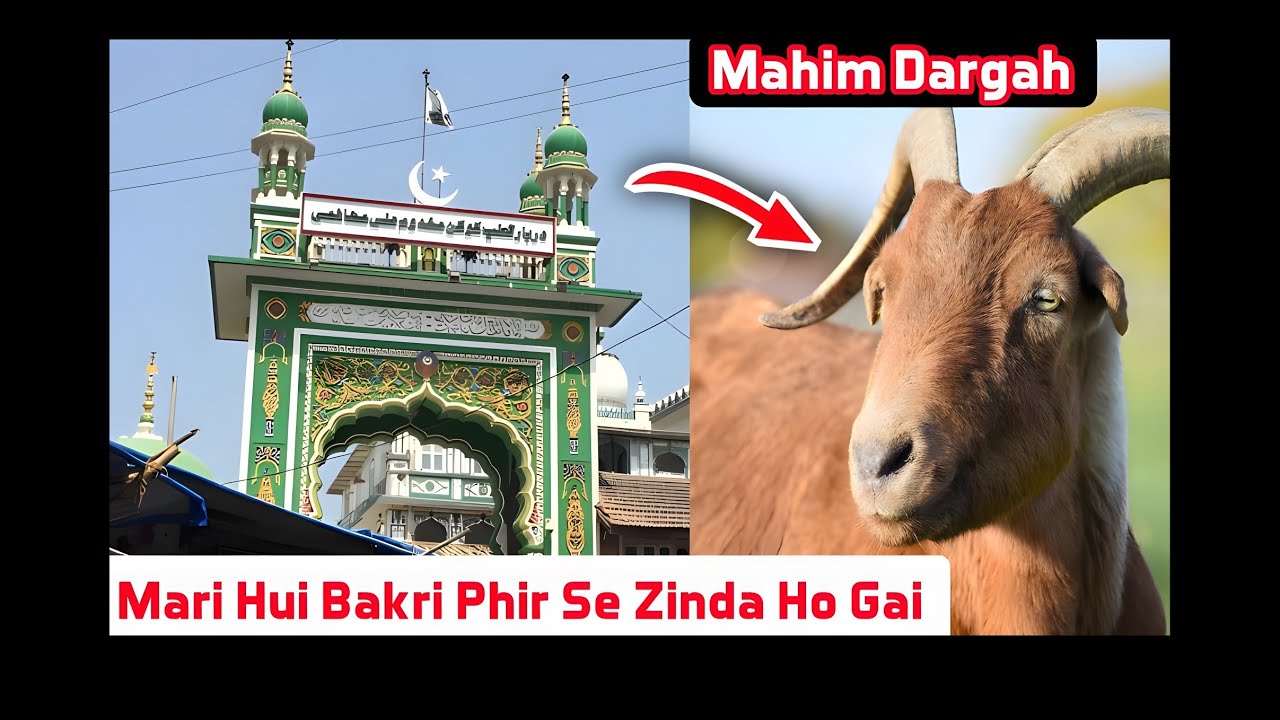 Dargah Makhdoom Ali Mahimi | History of Mahim Dargah Mumbai  | Makhdoom Shah Baba #faizanrazaqadri