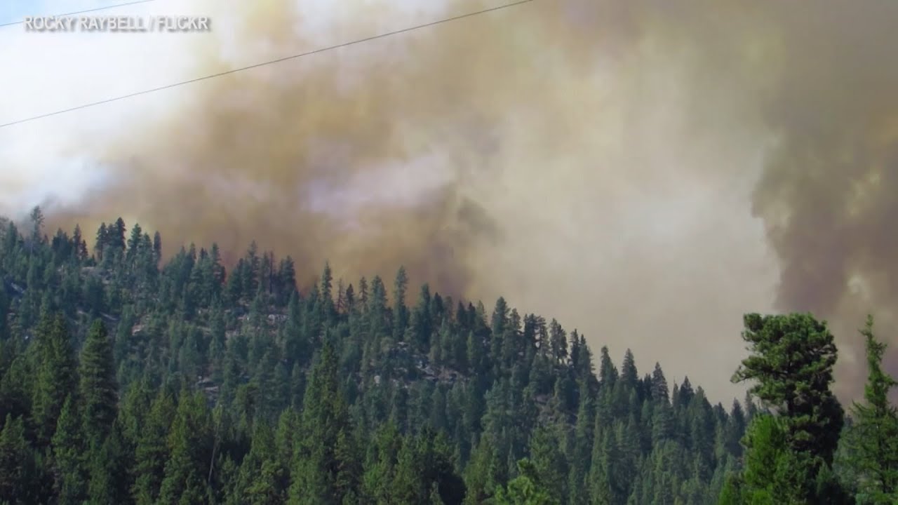 Global Climate Strike Preview