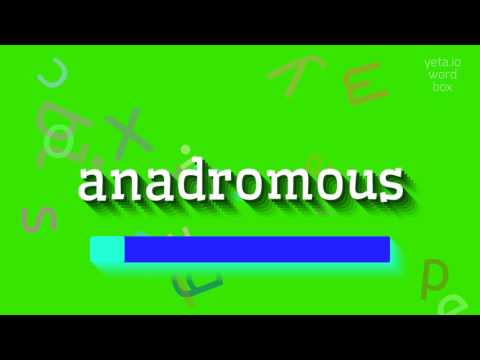 ANADROMOUS - HOW TO PRONOUNCE IT? #anadromous