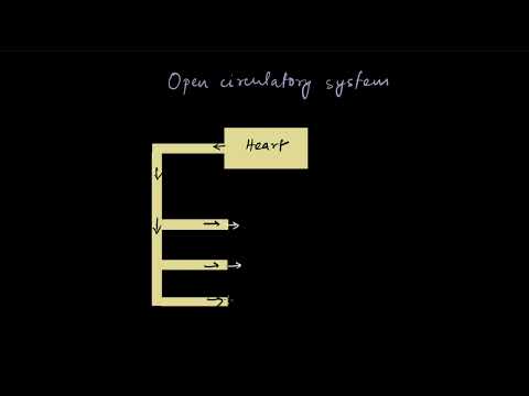 Open and closed circulatory systems | Body fluids and circulation | Biology | Khan Academy
