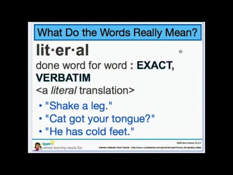Literal vs. Nonliteral Words | 3rd Grade Reading | eSpark Instructional Video