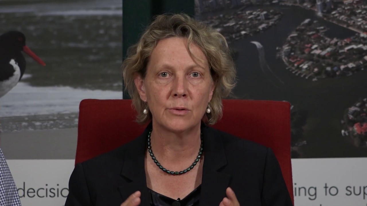 Urban Adaptation. Cities adapting to climate change: Professor Barbara Norman