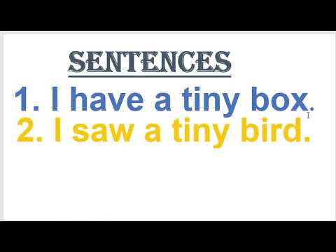 Vocabulary word for kids - Tiny