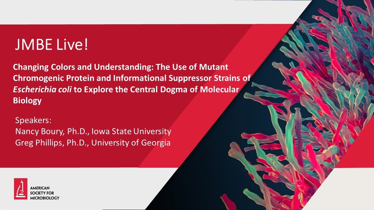 JMBE Live - Microbiology undergraduate laboratory to address misconceptions about the Central Dogma