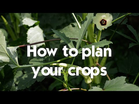 Introduction To Vegetable Cultivation | Learn Organic Farming | Ep3