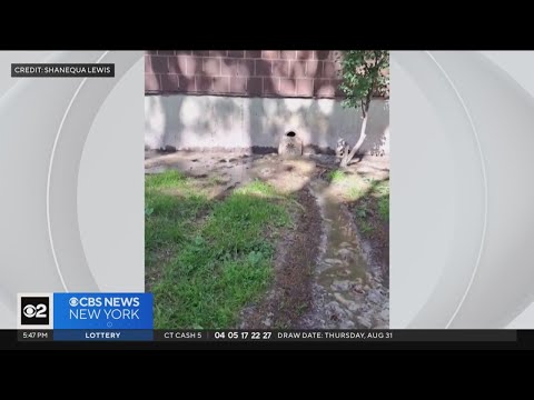 NYCHA residents say raw sewage continues to leak out of building