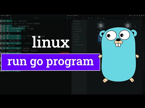 How to Build and Run a Go ( golang ) Program in Linux Operating System