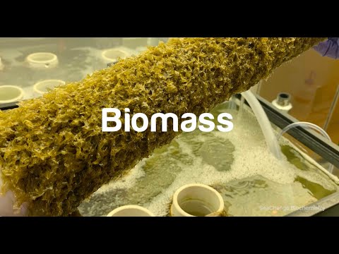 Beyond Innovation S3;E03: regenerative farming, ending world hunger, seaweed biomass & more!