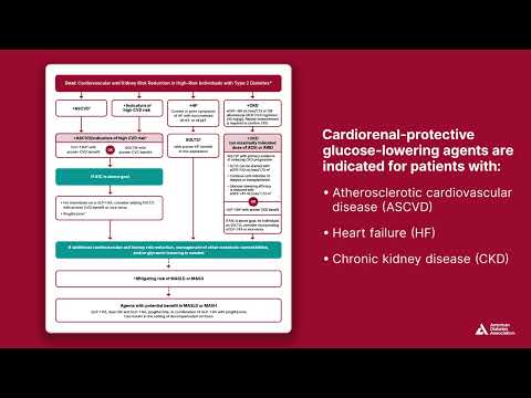 Use of Glucose Lowering Medications in the Management of Type 2 Diabetes