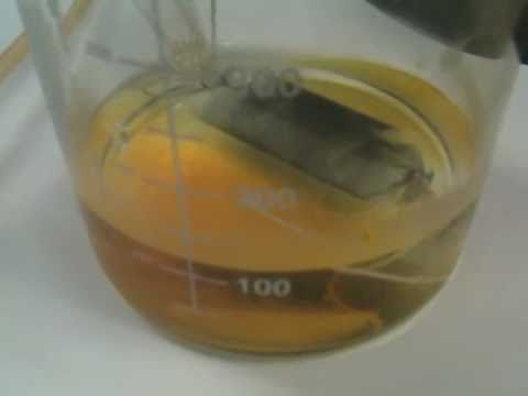Semipermeable Membrane