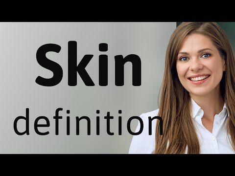 Skin • what is SKIN definition