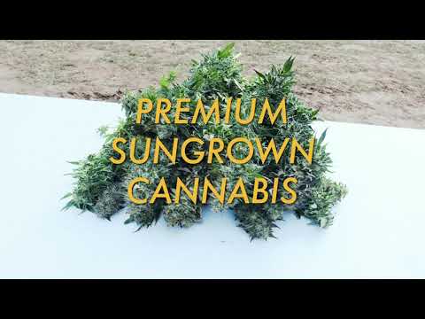 PREMIUM. SUNGROWN. CANNABIS.