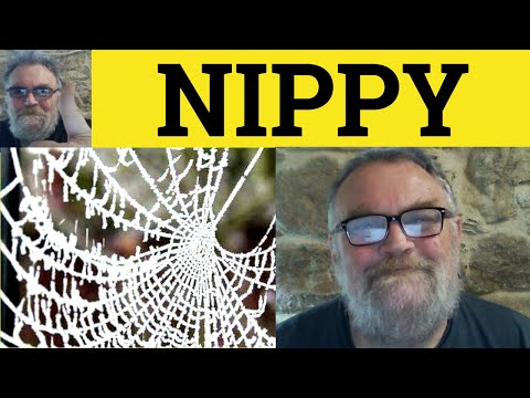 😎 Nippy Meaning - Nippy Definition - Nippy Examples - Nippy Nippily Nippiness Nippily Nippiness