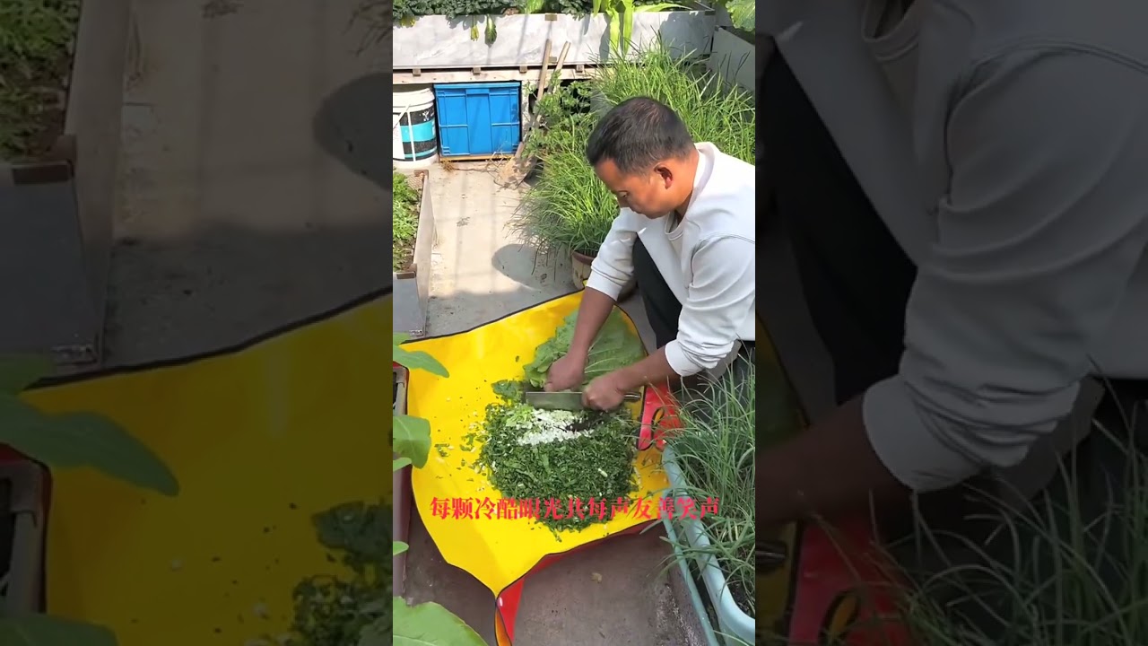 3946 🌴🍃🍅🥜🍄 #claas #agri #vegetables #instafood #food