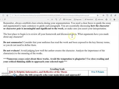 Character Analysis Essay Instructions