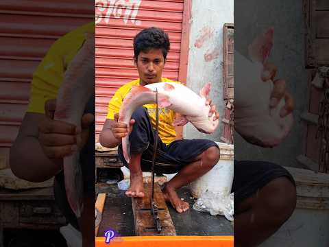 “Mastering Fish Cutting Techniques | Stunning Skills Revealed!” #fishcutting #fishfilleting #asmr