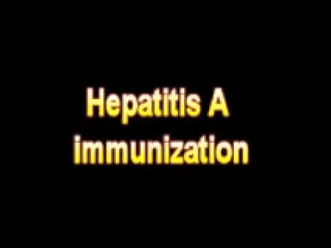 What Is The Definition Of Hepatitis A immunization - Medical Dictionary Free Online Terms