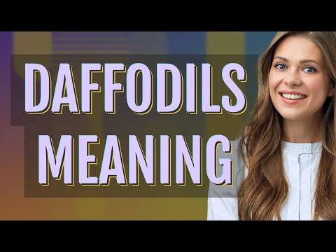Daffodils | meaning of Daffodils