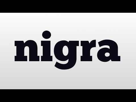 nigra meaning and pronunciation