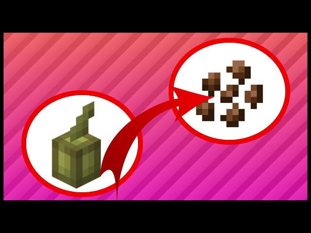 3 things you didn't know about cocoa beans in Minecraft