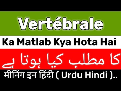 Vertebrae Meaning | Vertebrae Meaning In Urdu | Vertebrae Ka Matlab Kya Hai,Vertebrae Ka Meaning