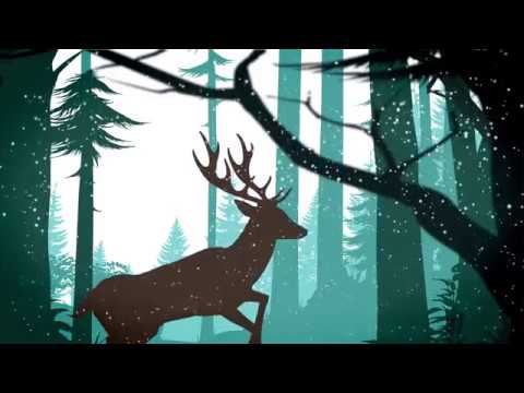 Pro-Tracker Animation