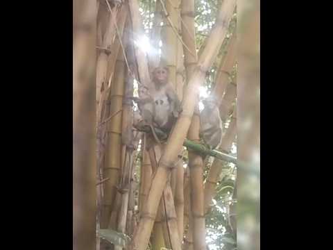 #Mugilan A-Z vlogs #lovesong #short video #trending song