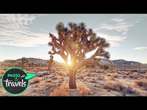 Top 10 U.S. National Parks