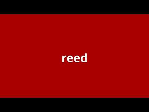 what is the meaning of reed