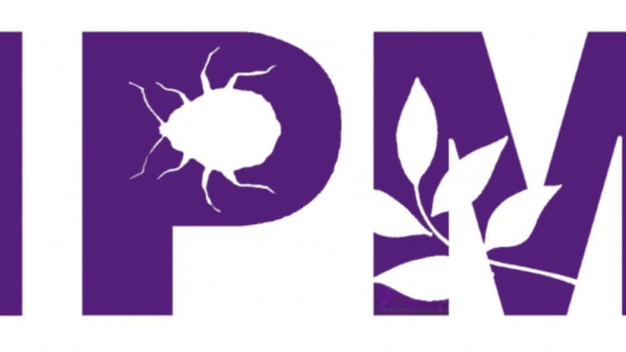 Integrated Pest Management for Vegetables