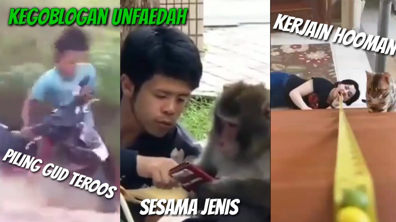 KEGOBLOGAN UNFAEDAH / AWSHITPOST / TRY NOT TO LAUGH / PILING GUD