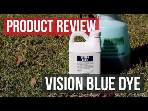 Vision Blue: Product Review