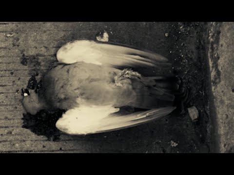 HOUR GLASS - LEFTI VII ft POPPA WATTZ (Official Music Video)
