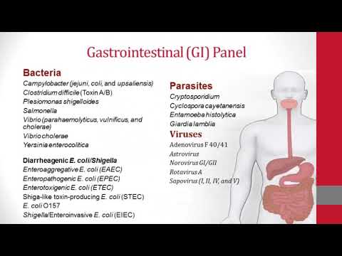 Diagnosis and Prevention of Acute Diarrhea: What Do the Guidelines Say?